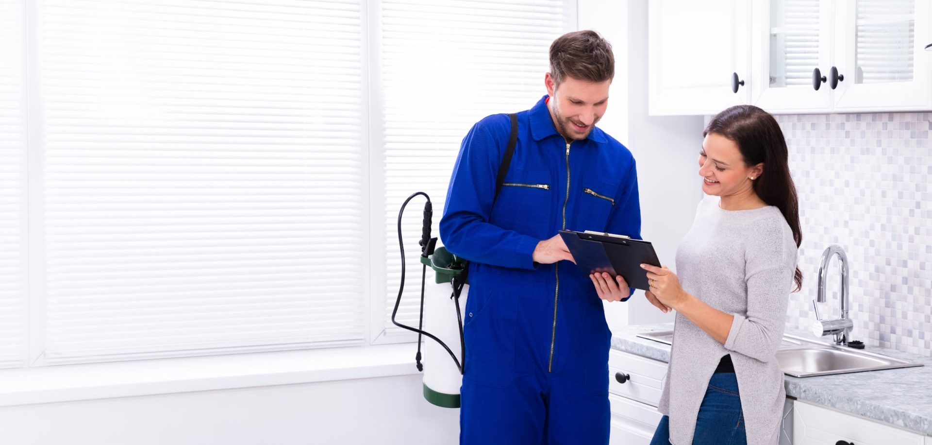 Save your home with expert termite control in Goodyear, AZ